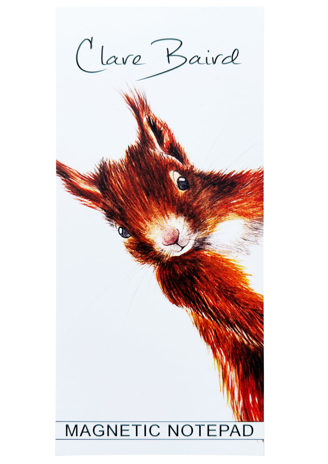 Red Squirrel Magnetic Notepad. Design by Clare Baird – Clare Baird