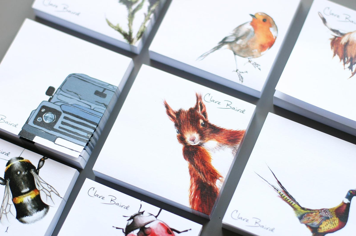 Robin Sticky Notes – Clare Baird