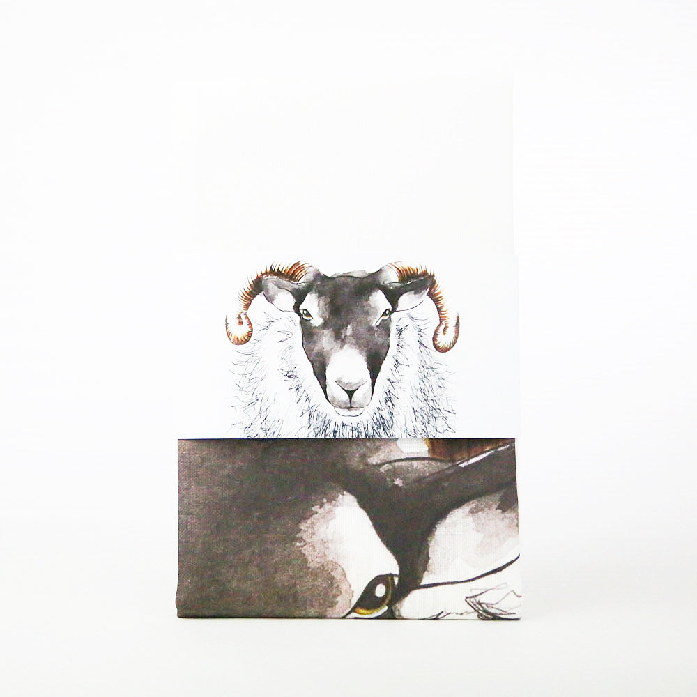 Blackface Ram Tea Towel | Scottish Cotton Dish Cloth – Clare Baird